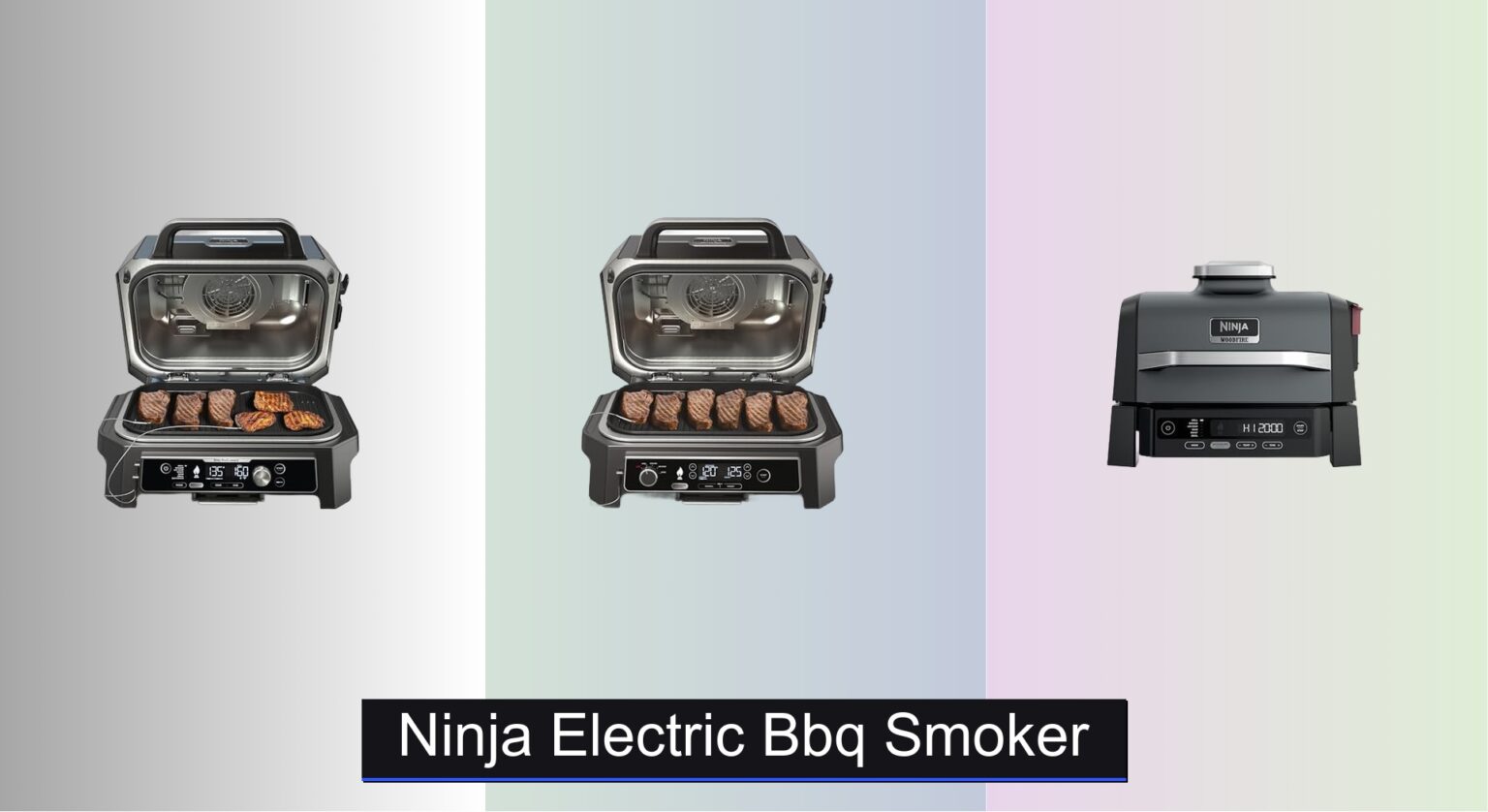 5 Best Ninja Electric BBQ Smokers of 2026
