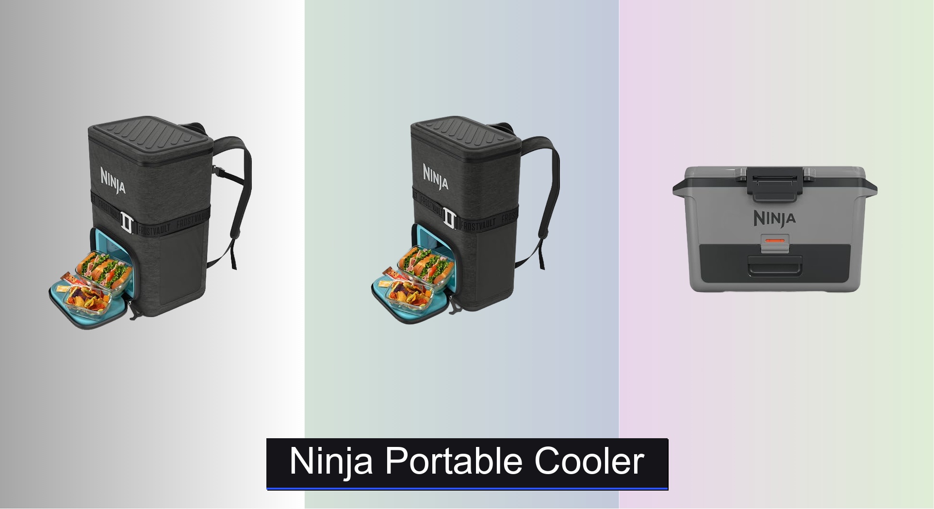5 Best Ninja Portable Coolers of 2026