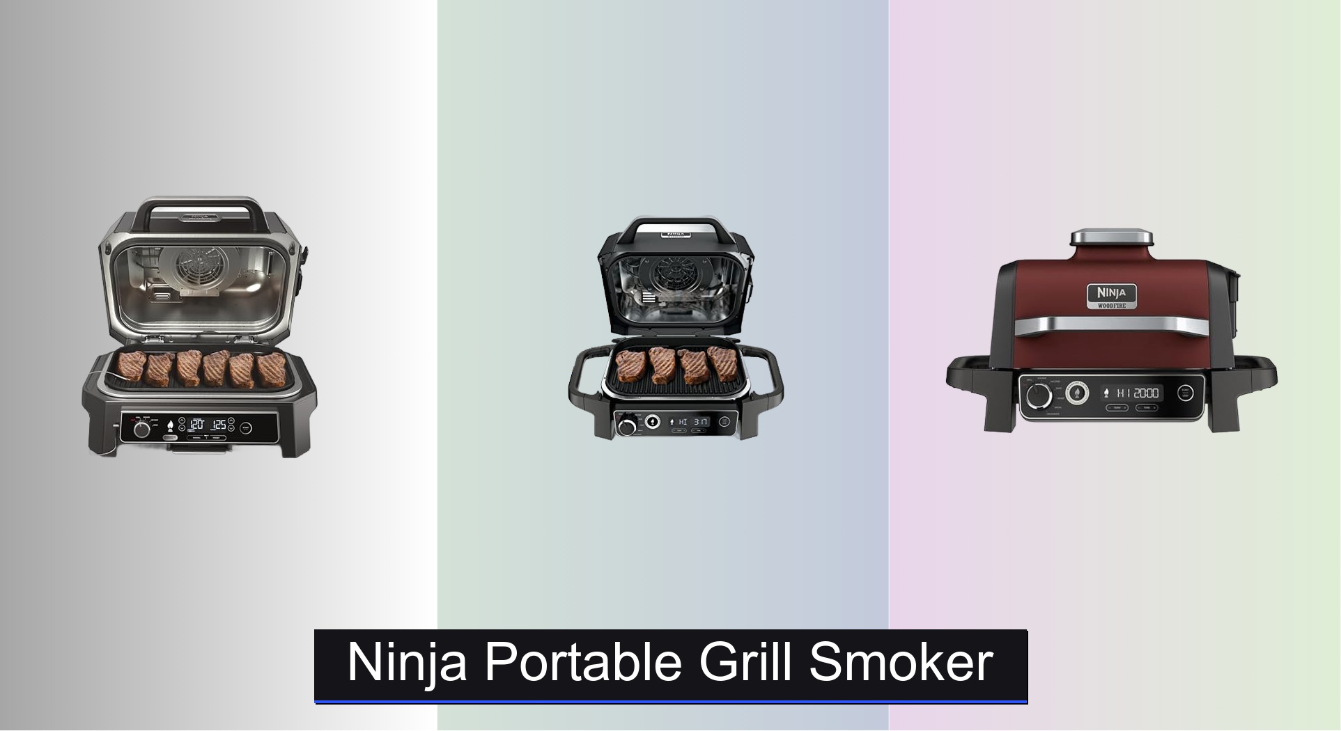 5 Best Ninja Portable Grill Smokers of 2026