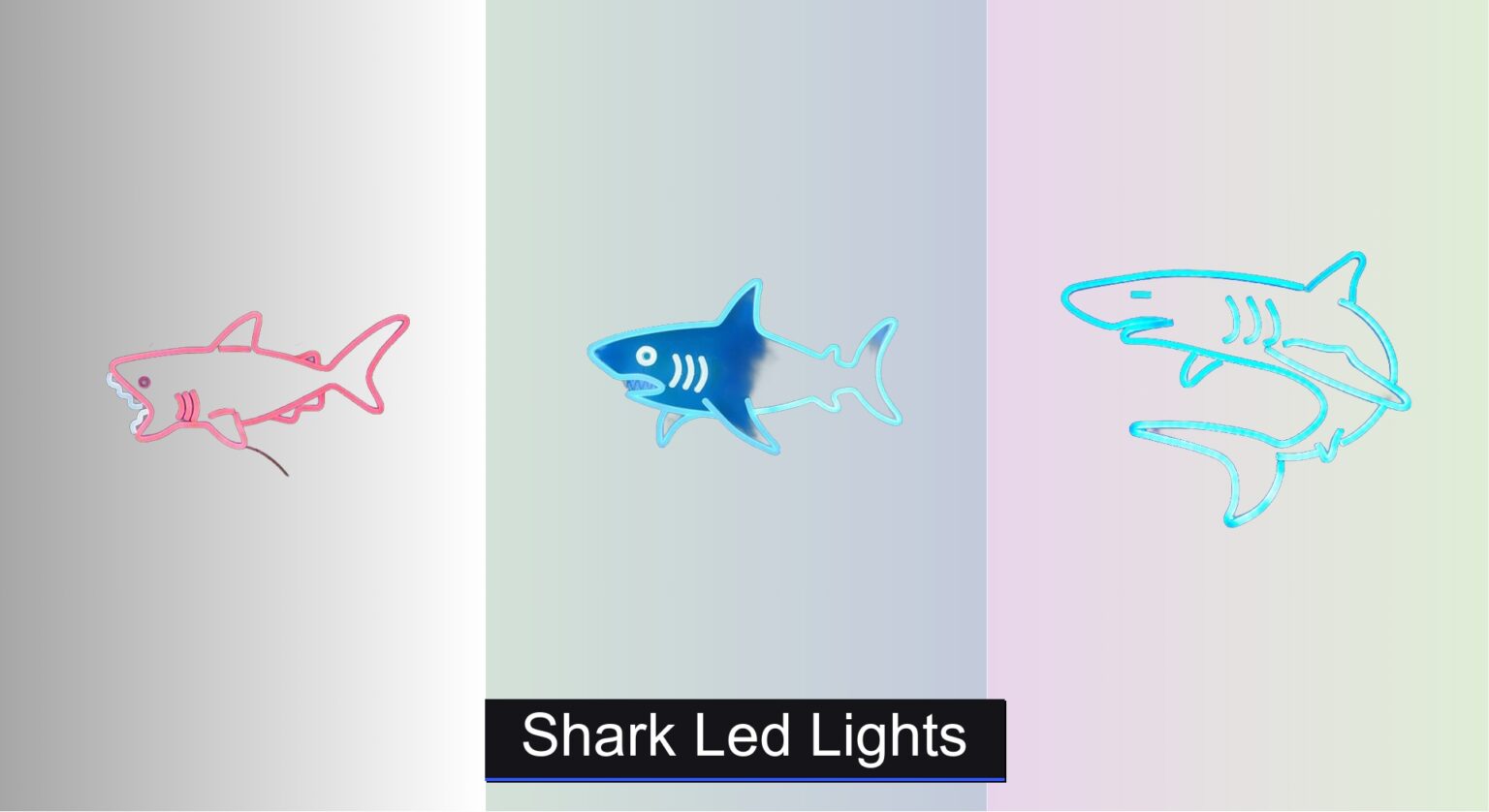 9 Best Shark LED Lights of 2026