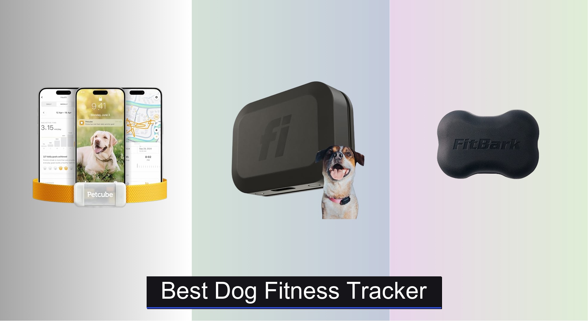 6 Best Dog Fitness Trackers of 2026